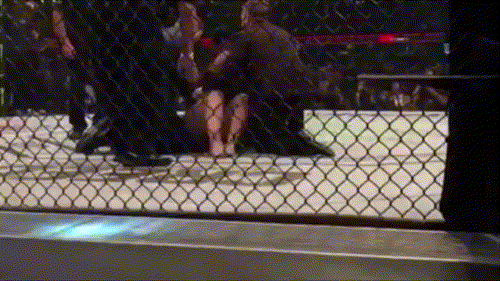 I guess Ronda was the real deal. | Sherdog Forums | UFC, MMA & Boxing ...